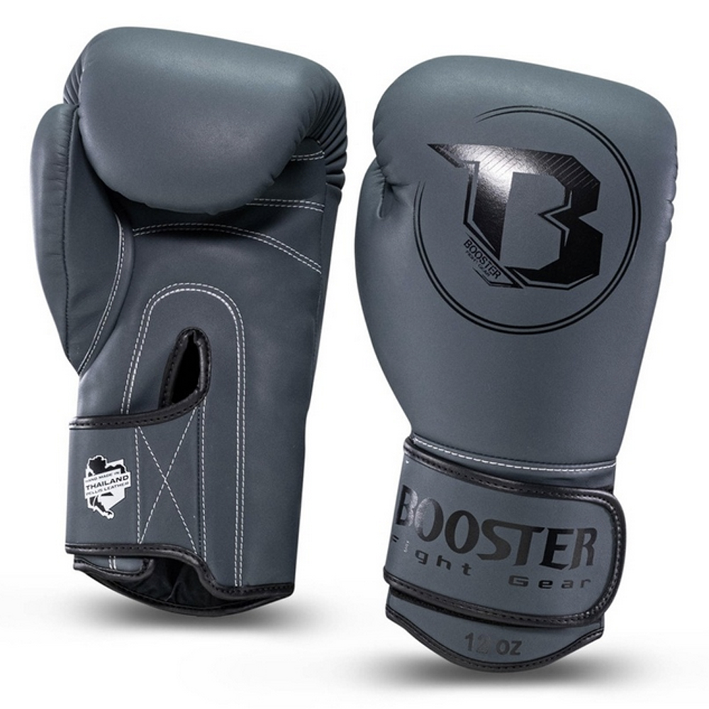 PRO BGL VX 2 | Booster